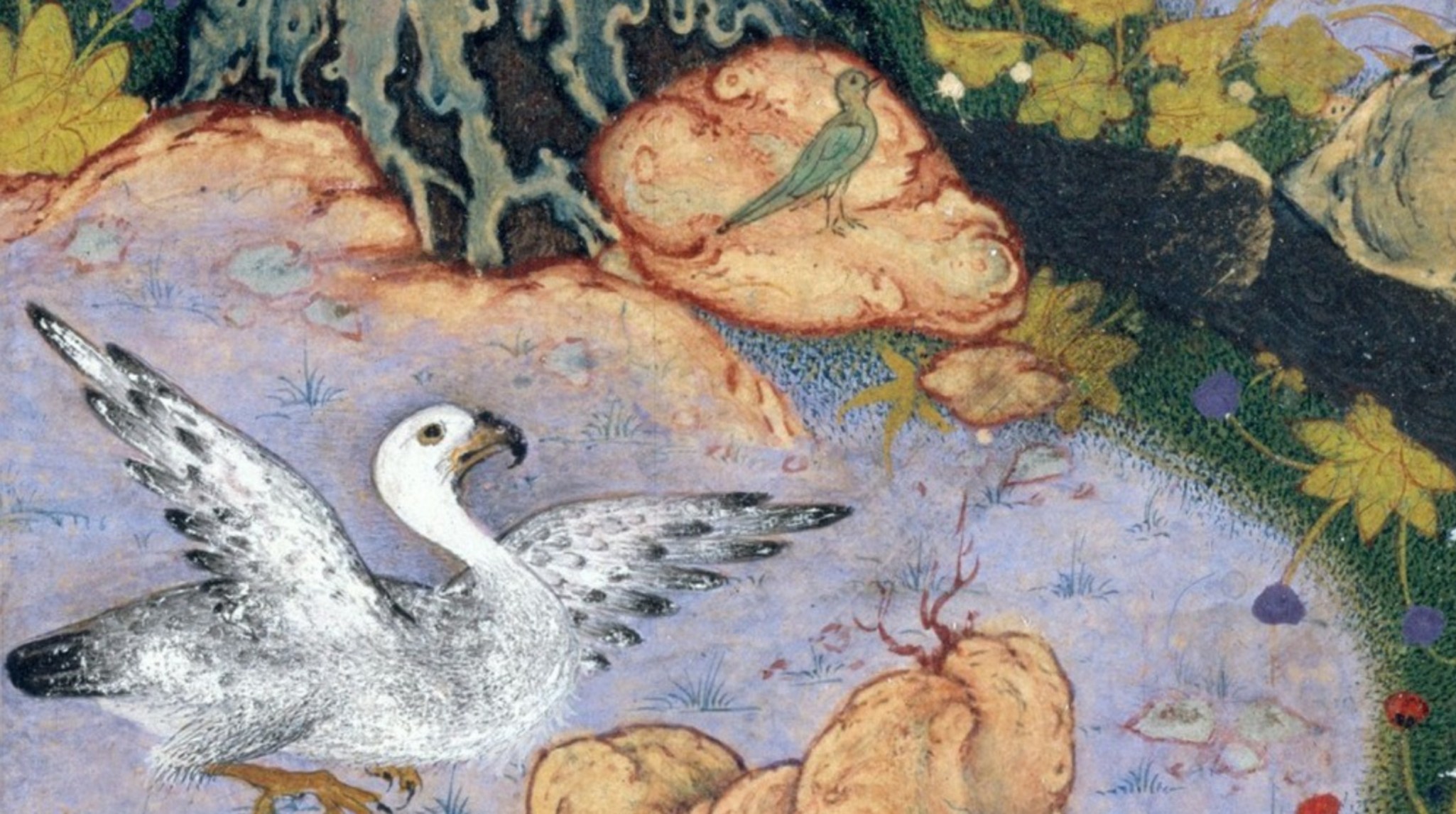 Habiballah of Sava: Language of the Birds – At Sunnyside – Where Truth ...