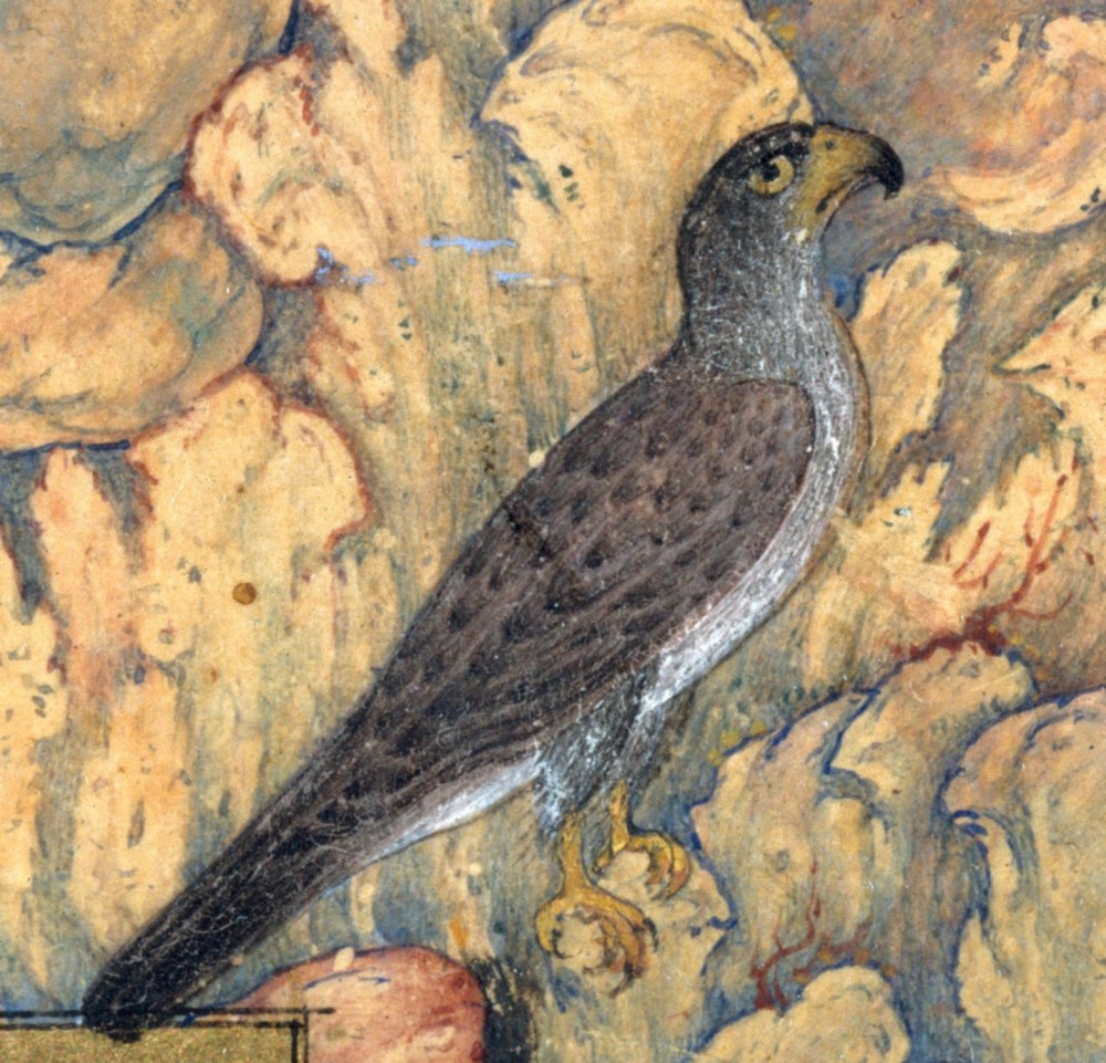 Habiballah of Sava: Language of the Birds – At Sunnyside – Where Truth ...