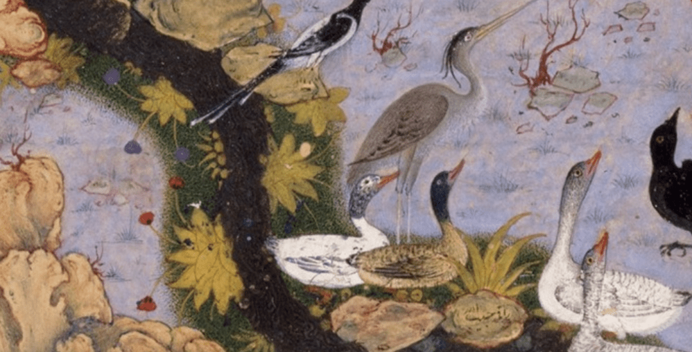 Habiballah of Sava: Language of the Birds – At Sunnyside – Where Truth ...